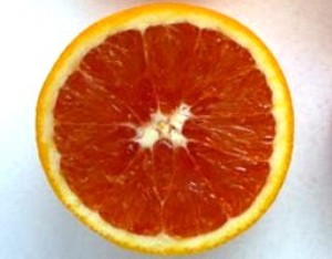 Brasileños elaboran una nueva variedad de naranja con pulpa roja | El ...