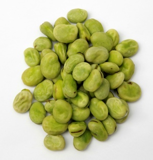 Lanzan nueva variedad de haba