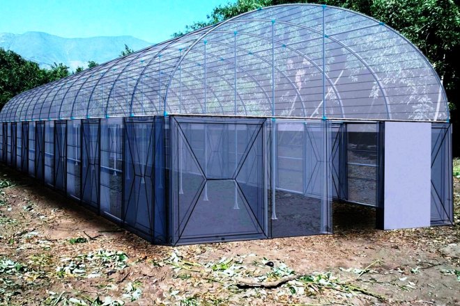 El potencial de los invernaderos inteligentes para hacer más eficiente ...