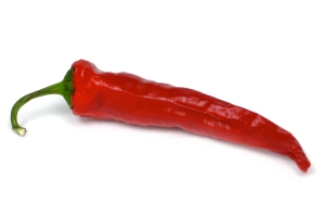 Ají ‘cacho de cabra’: Un cultivo con futuro | El Mercurio Campo