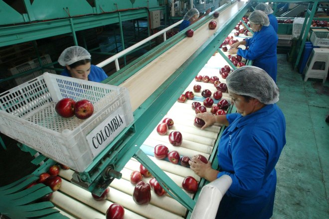 Se recuperan los volúmenes y exportadoras apuestan por producción propia | El Mercurio Campo