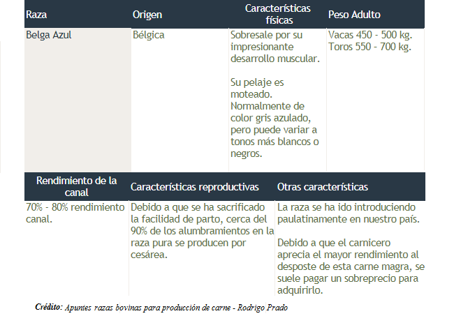 El potencial de las principales razas de carne bovina presentes en el ...